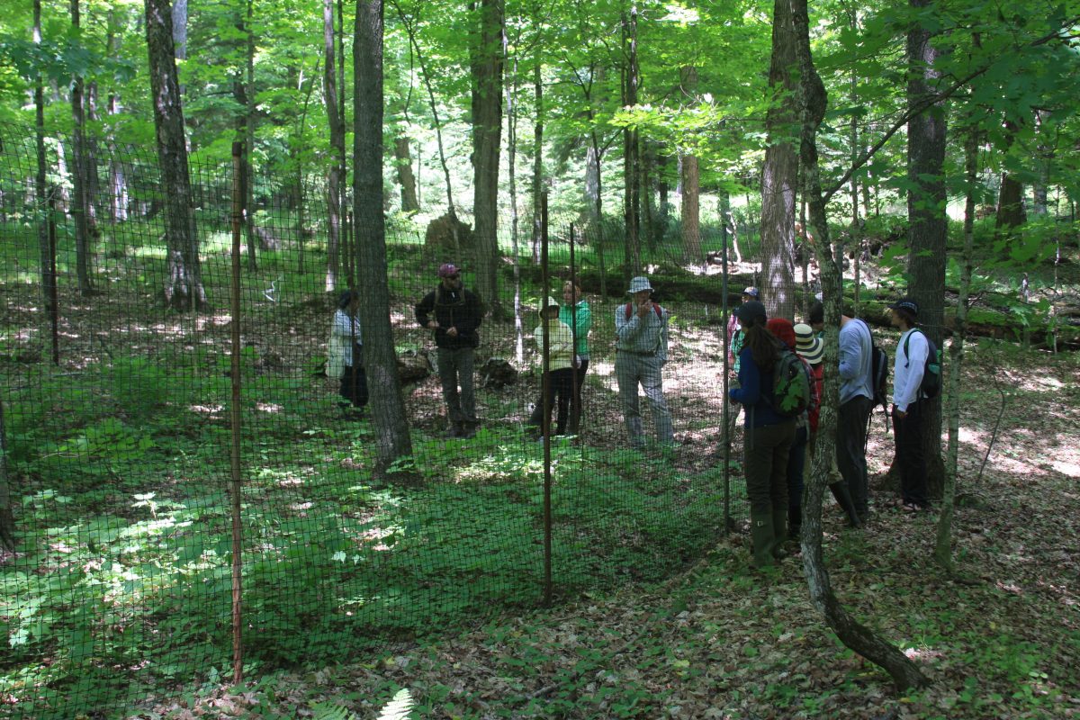 Veg of WI – Kemp Natural Resources Station